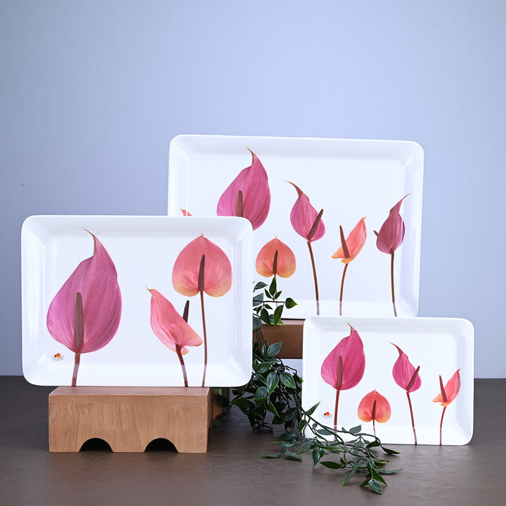 3 Piece Tray Set – Servewell Dinnerware
