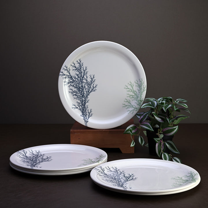 6 Piece Plate Set – Page 3 – Servewell Dinnerware