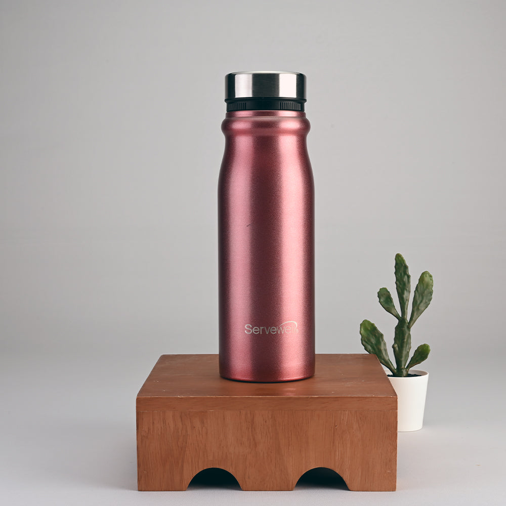 Buy Single Wall Stainless Steel Bottle Online at Servewell